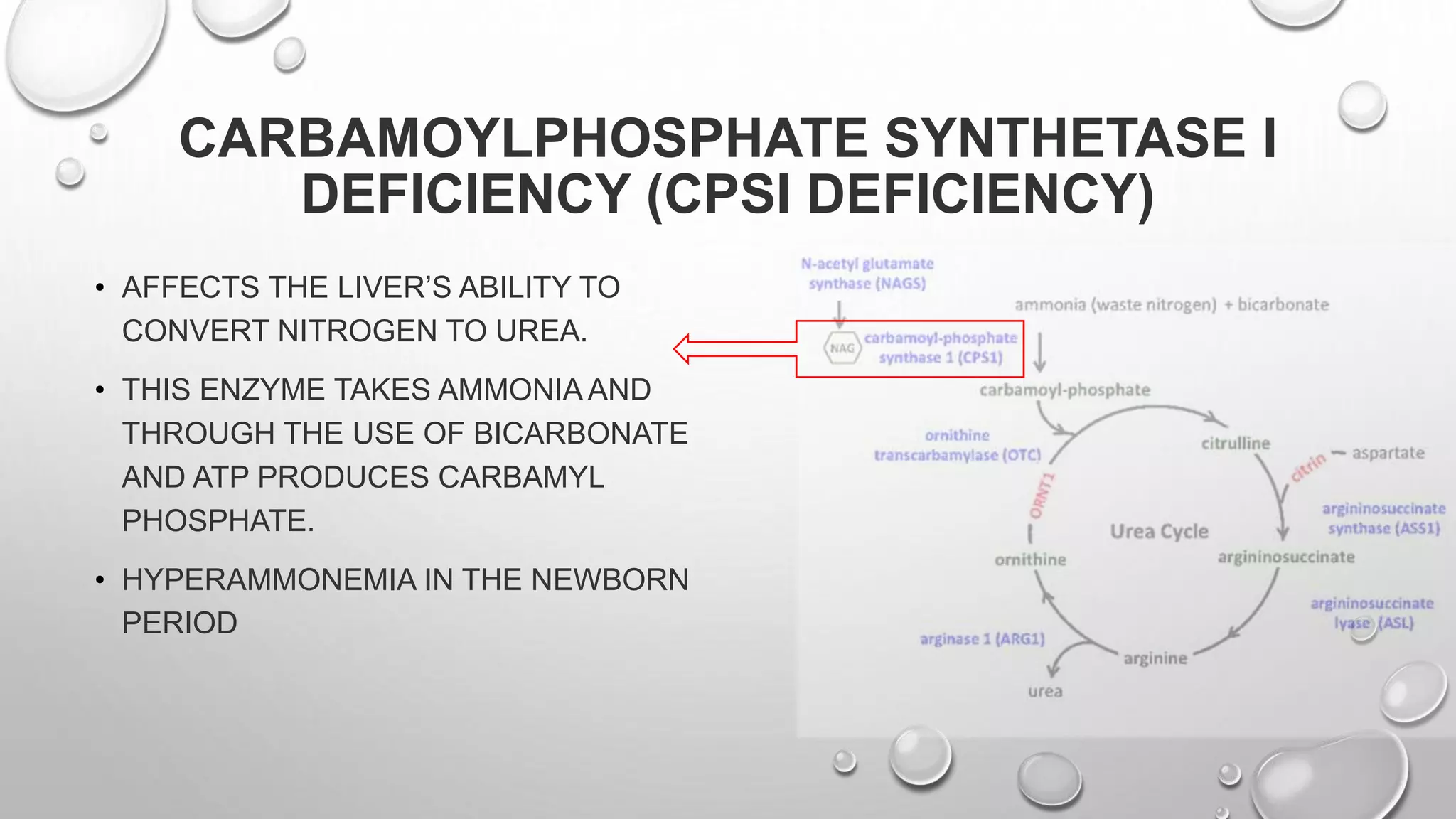 Urea Cycle Disorders | PPTX