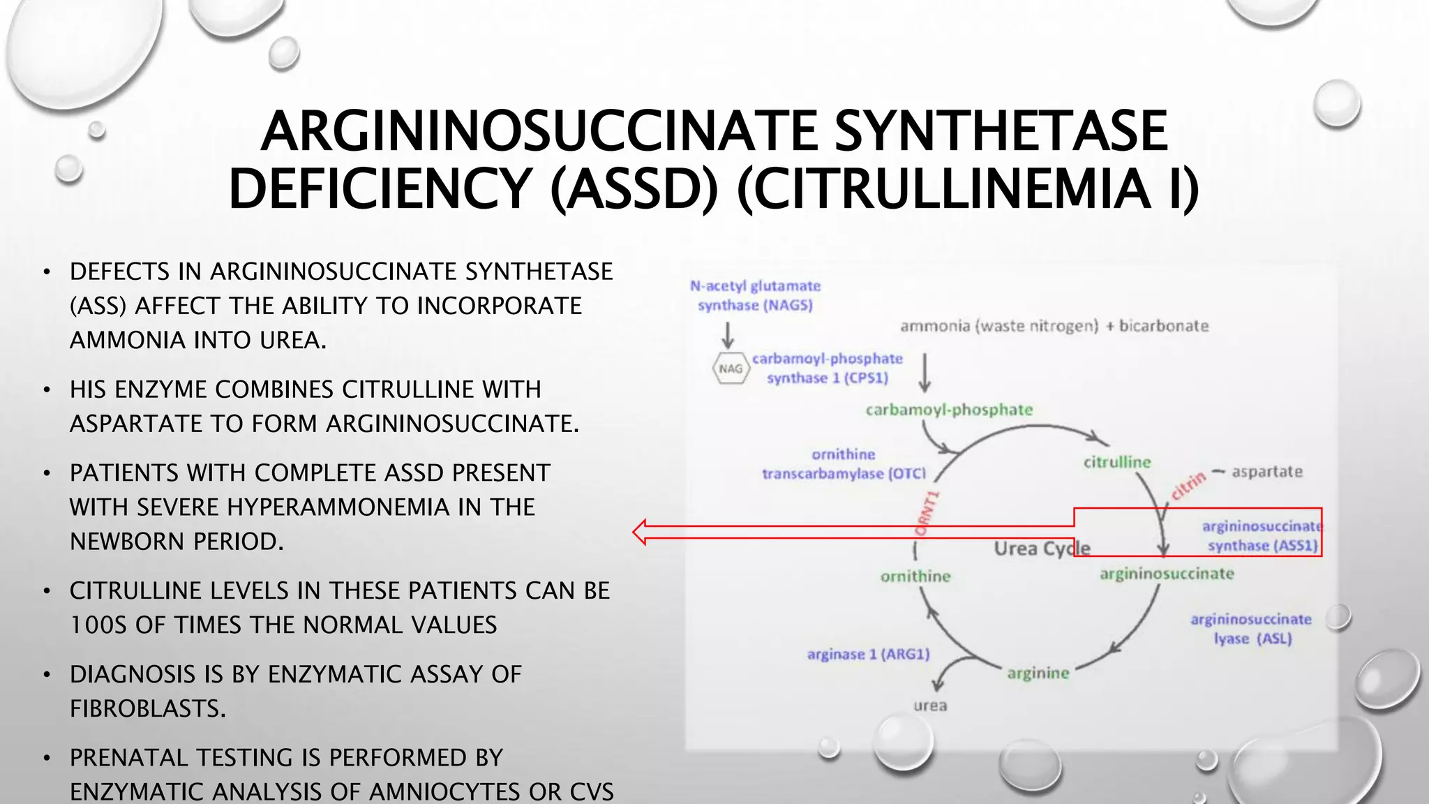 Urea Cycle Disorders | PPTX