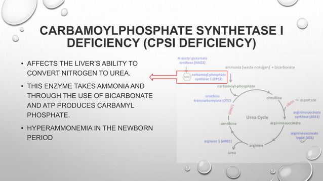 Urea Cycle Disorders | PPTX | Endocrine and Metabolic Diseases ...