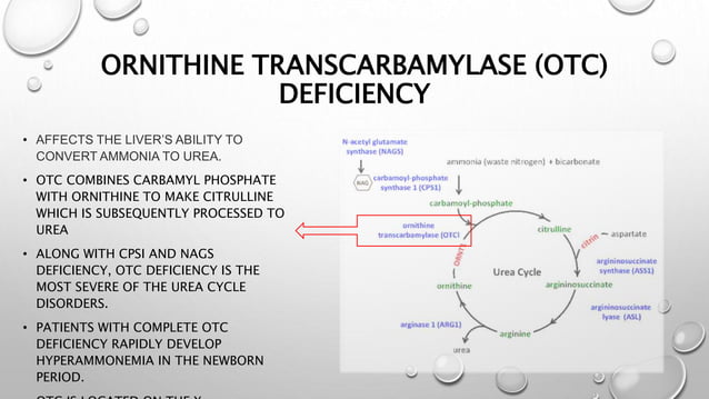 Urea Cycle Disorders | PPTX | Endocrine and Metabolic Diseases ...