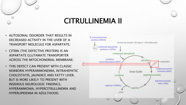 Urea Cycle Disorders | PPTX | Endocrine and Metabolic Diseases ...