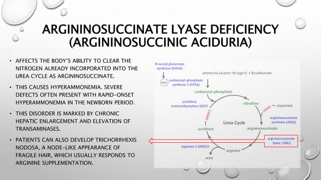 Urea Cycle Disorders | PPTX | Endocrine and Metabolic Diseases ...