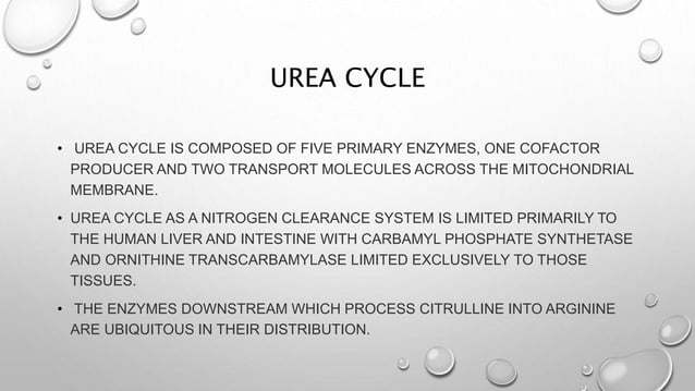 Urea Cycle Disorders | PPTX | Endocrine and Metabolic Diseases ...