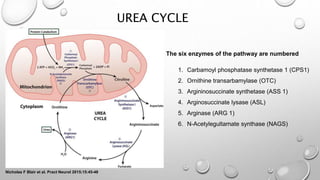 Urea Cycle Disorder