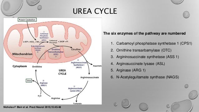 Urea Cycle Disorders