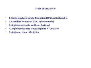 Urea_Cycle_Final_Colorful_Presentation.pptx
