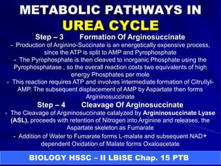 Urea Cycle LBISE HSSC - II Chap. 15 | PPT