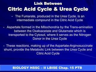 Urea Cycle LBISE HSSC - II Chap. 15 | PPT