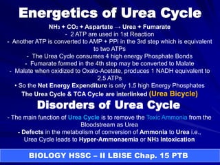 Urea Cycle LBISE HSSC - II Chap. 15 | PPT