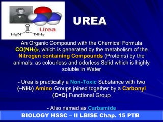 Urea Cycle LBISE HSSC - II Chap. 15 | PPT
