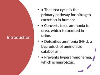 Urea_Cycle_Presentation in biochemistry .pptx