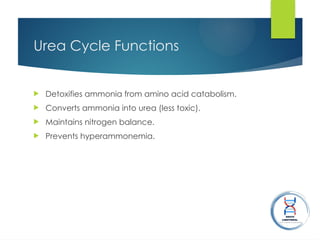 Urea________Cycle_______Presentation.pptx