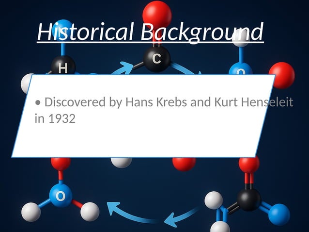 Urea_Cycle_and_its_disorders_Presentation | PPT