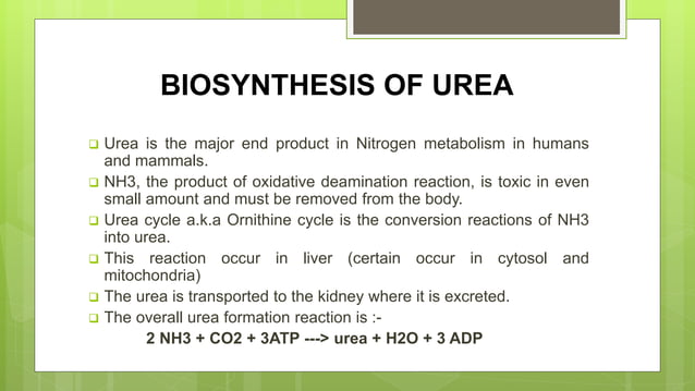 Urea cycle | PPT