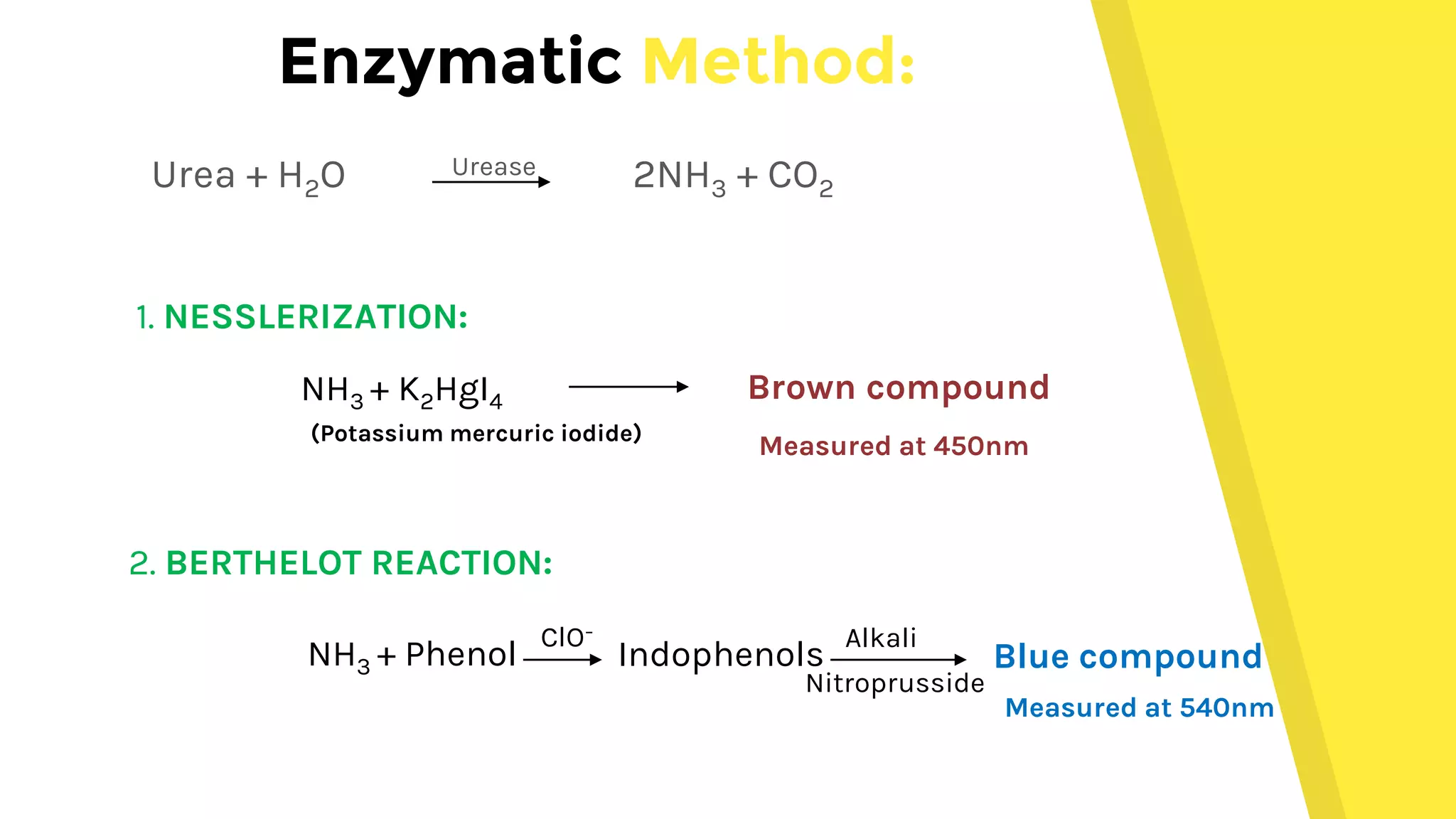 Estimation of Serum Urea | PPTX