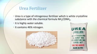 Urea fertilizer | PPTX