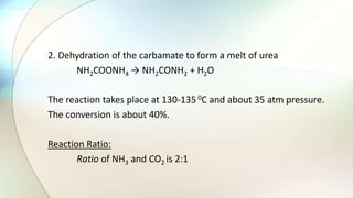 @ Urea fertilizer | PPTX | Chemistry | Science