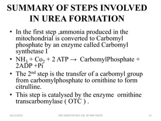 UREA FORMATION 300LEVEL UNIMED UPDATED.pptx