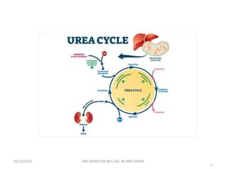 UREA FORMATION 300LEVEL UNIMED UPDATED.pptx