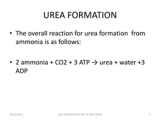 UREA FORMATION 300LEVEL UNIMED UPDATED.pptx