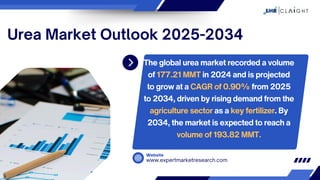 Urea Market Analysis 2025 | Global Trends, Opportunities & Forecast | PDF