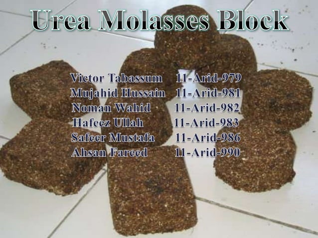 Urea molasses block | PPT | Agriculture | Industries