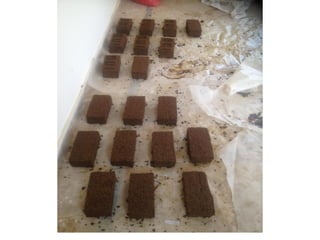 Urea molasses block | PDF