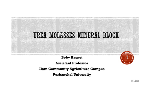 Urea Molasses Mineral Block (UMMB)/Urea Molasses Mineral Block (UMMB) | PDF