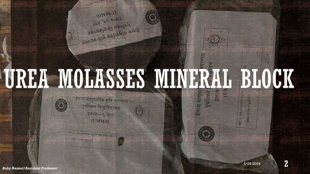 Urea Molasses Mineral Block (UMMB)/Urea Molasses Mineral Block (UMMB) | PDF