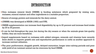 Urea Molasses Mineral Block (UMMB)/Urea Molasses Mineral Block (UMMB) | PDF