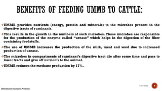 Urea Molasses Mineral Block (UMMB)/Urea Molasses Mineral Block (UMMB) | PDF