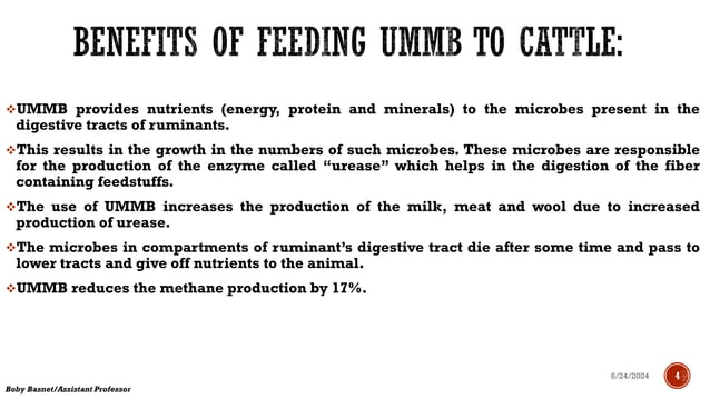 Urea Molasses Mineral Block (UMMB)/Urea Molasses Mineral Block (UMMB) | PDF