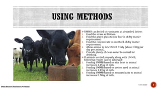 Urea Molasses Mineral Block (UMMB)/Urea Molasses Mineral Block (UMMB) | PDF