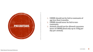 Urea Molasses Mineral Block (UMMB)/Urea Molasses Mineral Block (UMMB) | PDF