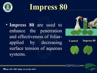 Urea n46 te and impress 80 (english) | PPT