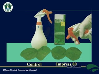 Urea n46 te and impress 80 (english) | PPT