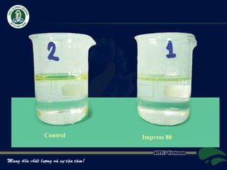 Urea n46 te and impress 80 (english) | PPT