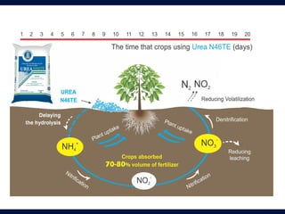 Urea n46 te and impress 80 (english) | PPT