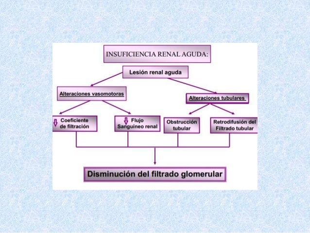 Que Significa Tener El Nitrogeno Ureico Elevado - Descargar Musica