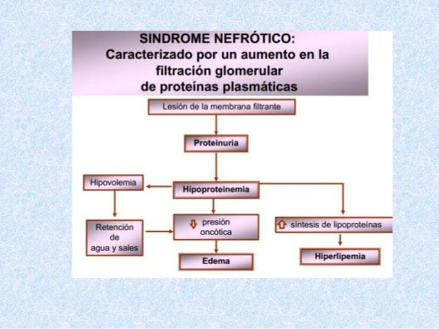 Que Significa Tener El Nitrogeno Ureico Elevado - Descargar Mp3