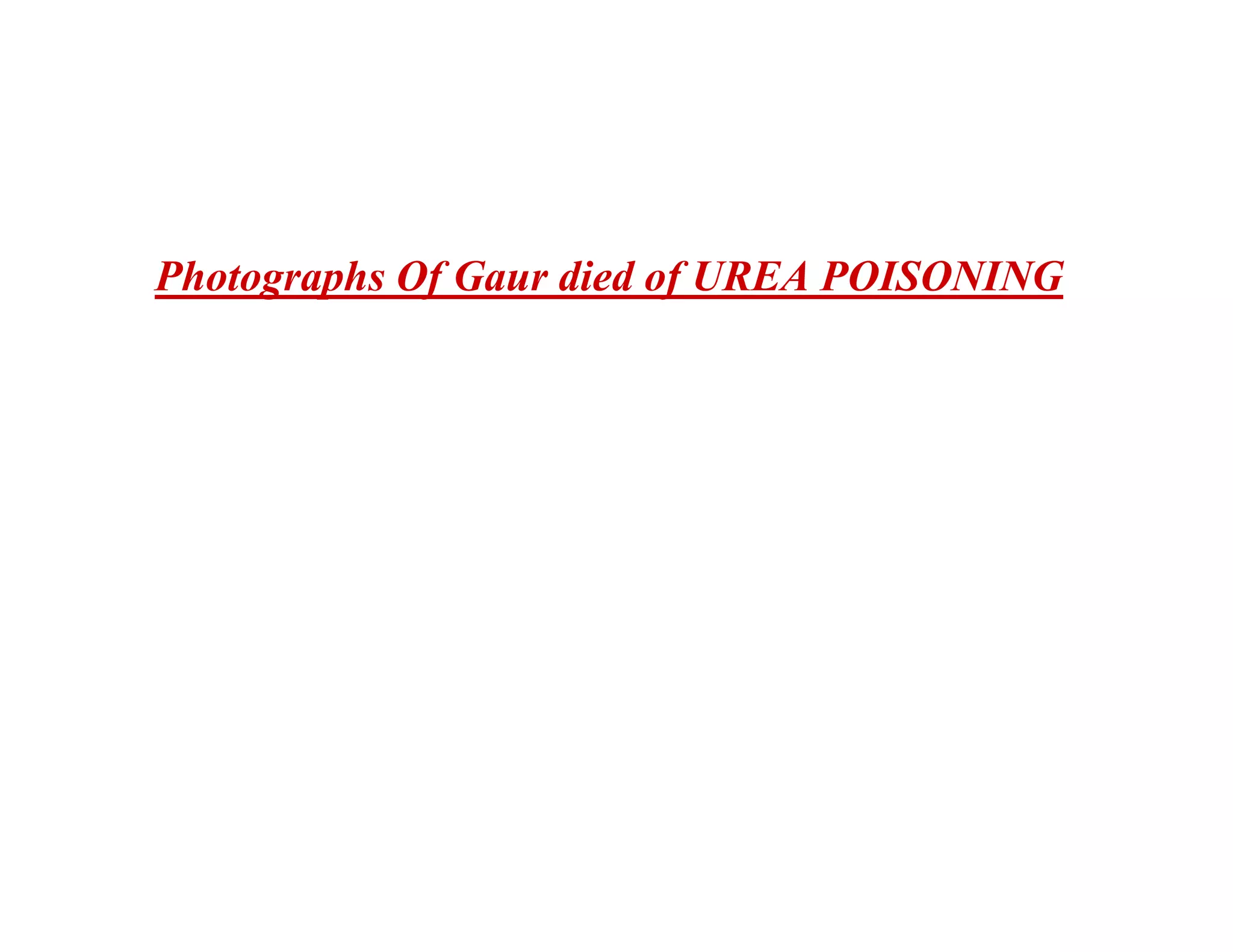 Urea poisoning | PDF