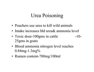 Urea poisoning | PDF