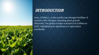 Urea fertilizer production and manufacturing ppt 1.pptx
