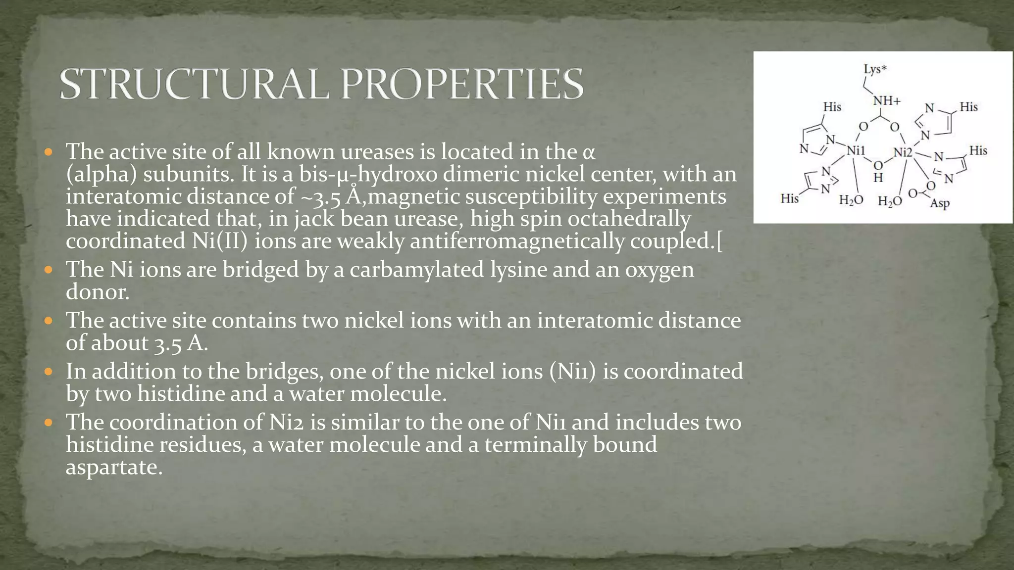 Urease enzyme and its catalytic cycle | PPTX