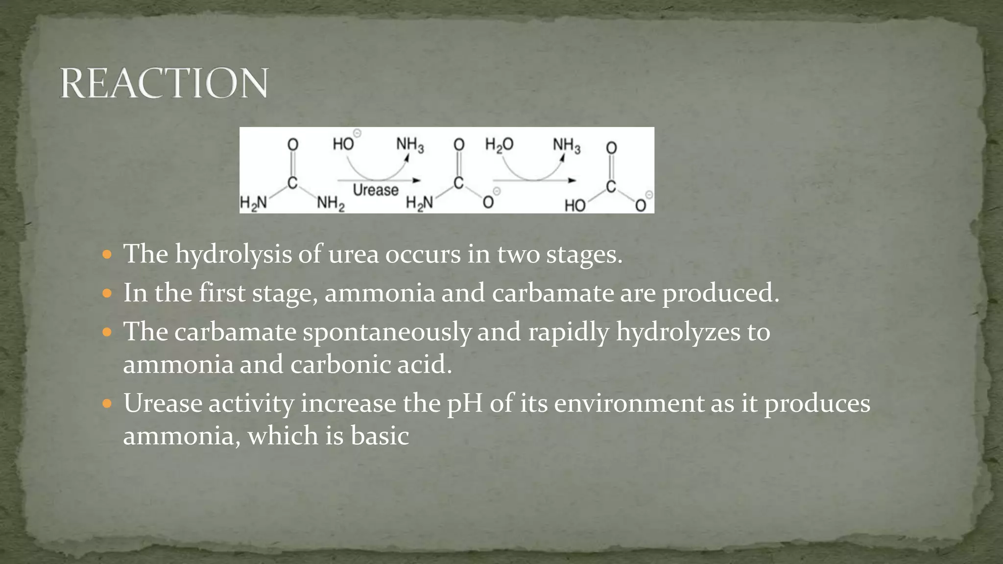 Urease enzyme and its catalytic cycle | PPTX