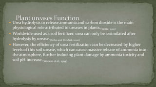 Urease enzyme and its catalytic cycle | PPTX