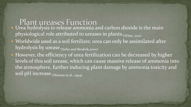 Urease enzyme and its catalytic cycle | PPTX