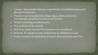 Urease enzyme and its catalytic cycle | PPTX