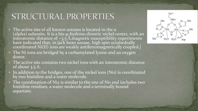 Urease enzyme and its catalytic cycle | PPTX