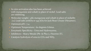 Urease enzyme and its catalytic cycle | PPTX
